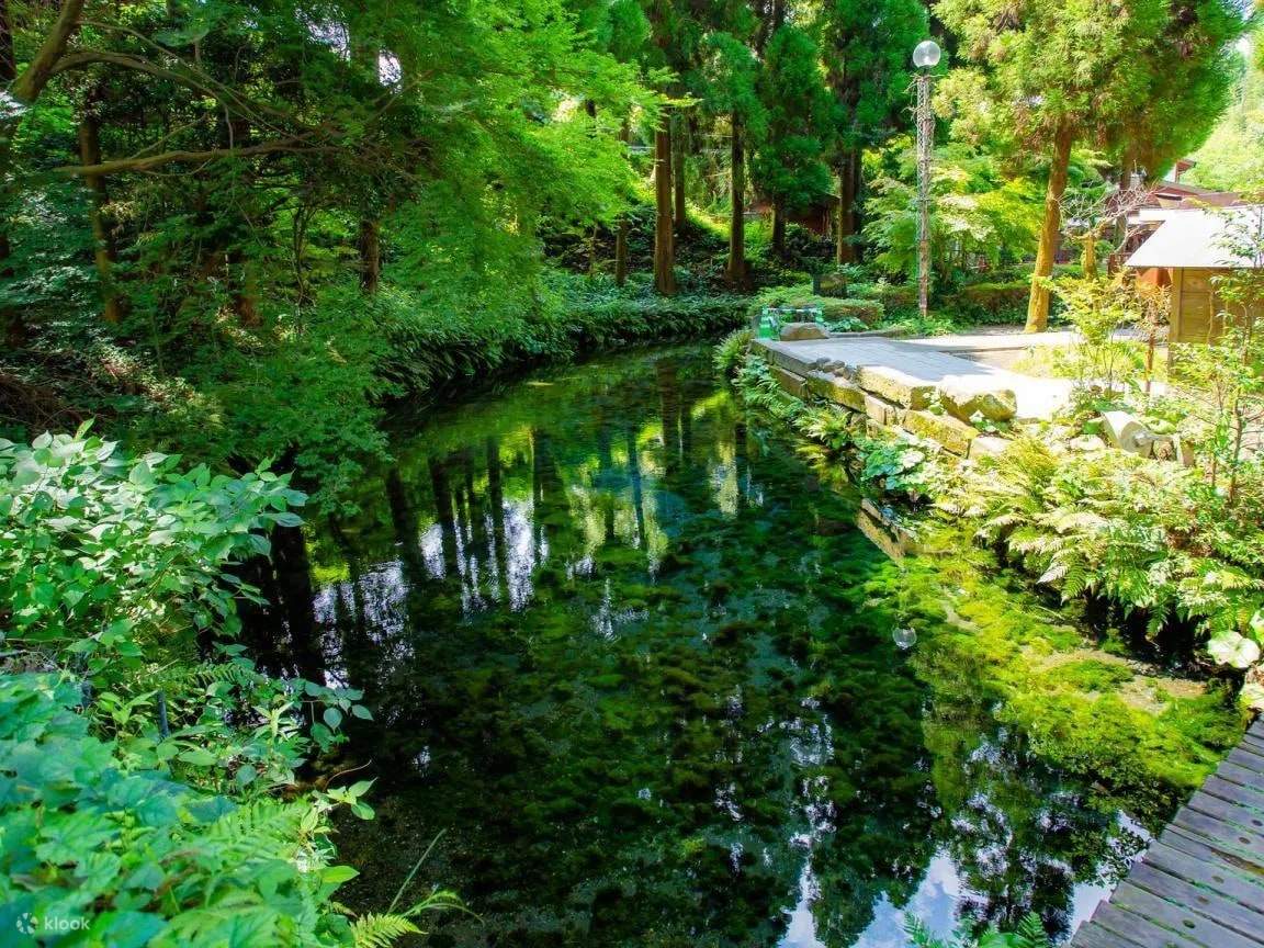 1 Day Tour of Aso and Takachiho (Optional Return via Aso Boy Train ...