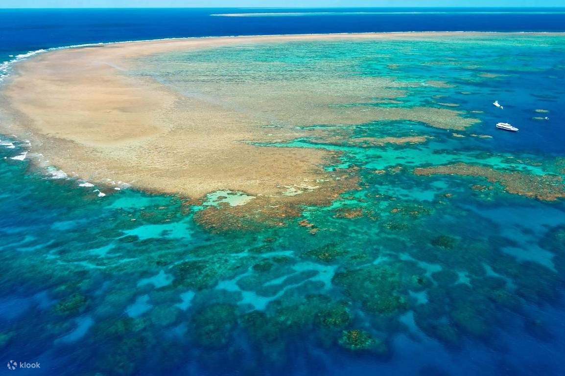Great Barrier Reef-Abenteuer ab Cairns - Klook, Vereinigte Staaten