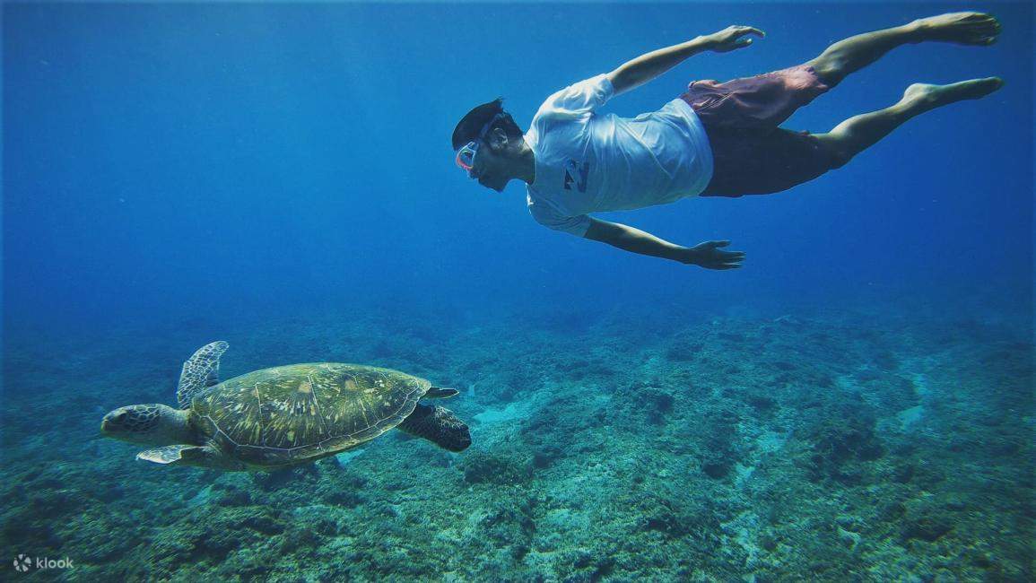 Pingtung: Pengalaman Kano & Snorkeling & SUP Transparan Xiaoliuqiu ...