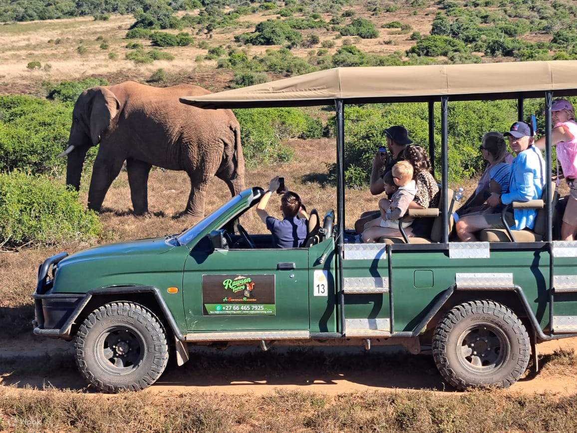 South Africa: 2- Day Addo Elephant National Park Safari - Klook Philippines
