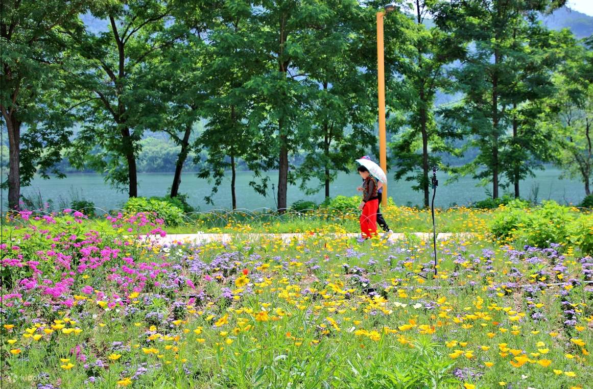 Begonia Bird Garden + Gapyeong Cruise + Nami/Jara Island Day Tour ...