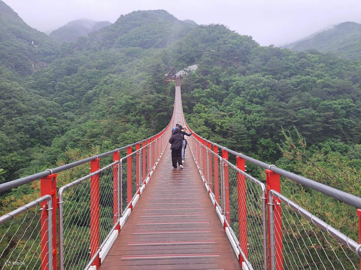 DMZ 2nd tunnel + Lake Suspension Bridge - Klook Singapore