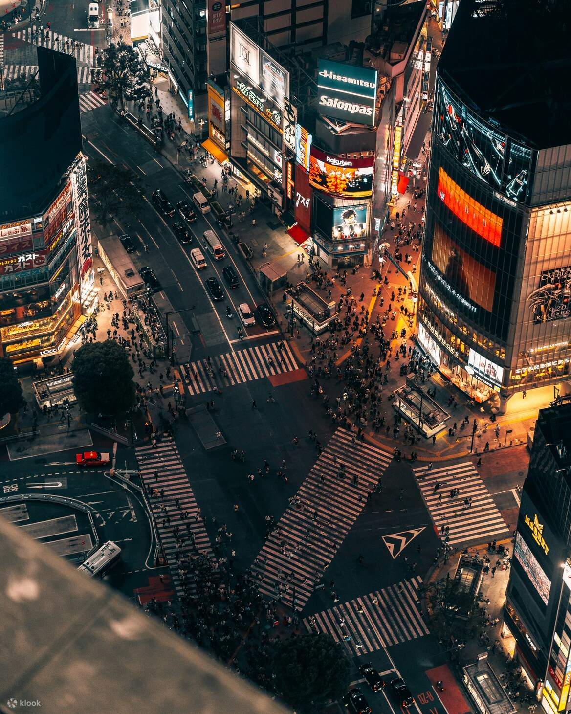 Shibuya Walking Tour and Shibuya Sky Tickets at Night - Klook United States