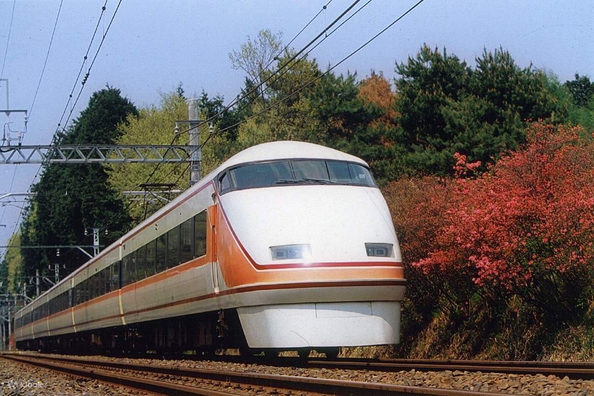 Nikko Private Trip with Limited Express SPACIA Ticket from Tokyo ...