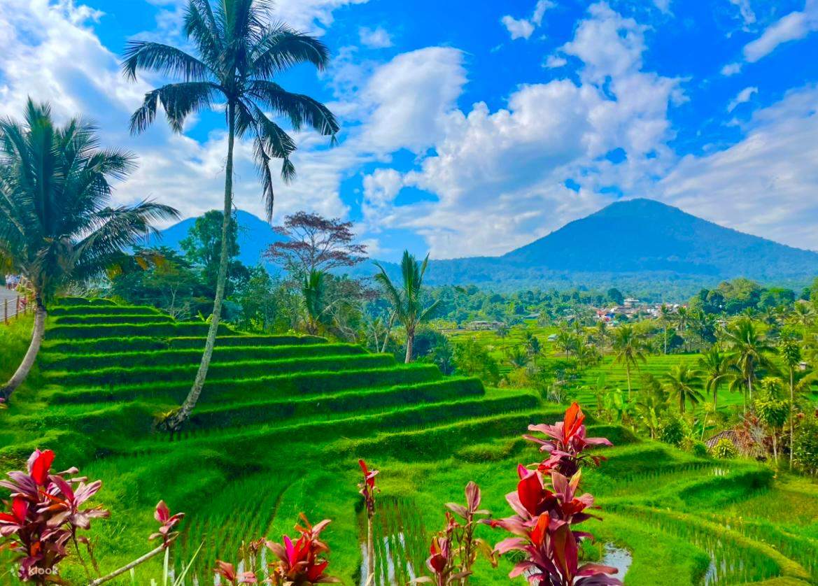 Tur Beberapa Hari Bulan Madu All Inclusive Bali Terbaik - Klook Indonesia