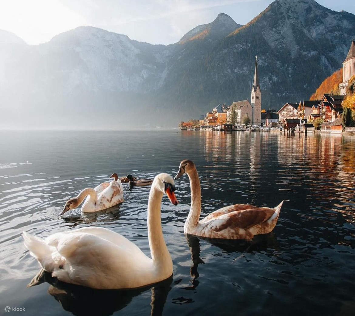 Vienna to Melk, Hallstatt, and Salzburg Day Trip (with Photographer ...