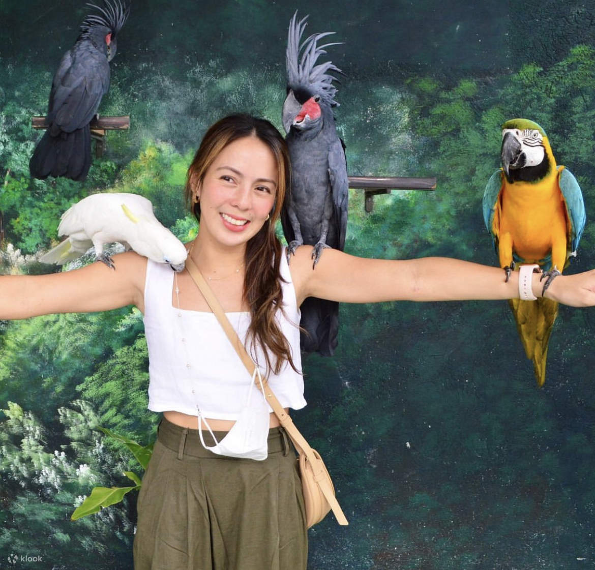 Clark Safari and Adventure Park Ticket - Klook