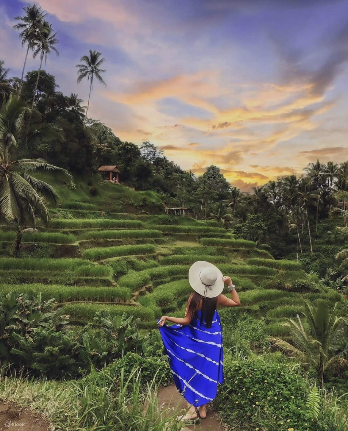 Kintamani Sunrise Instagramable Coffee Tour With Optional 4WD Jeep - Klook