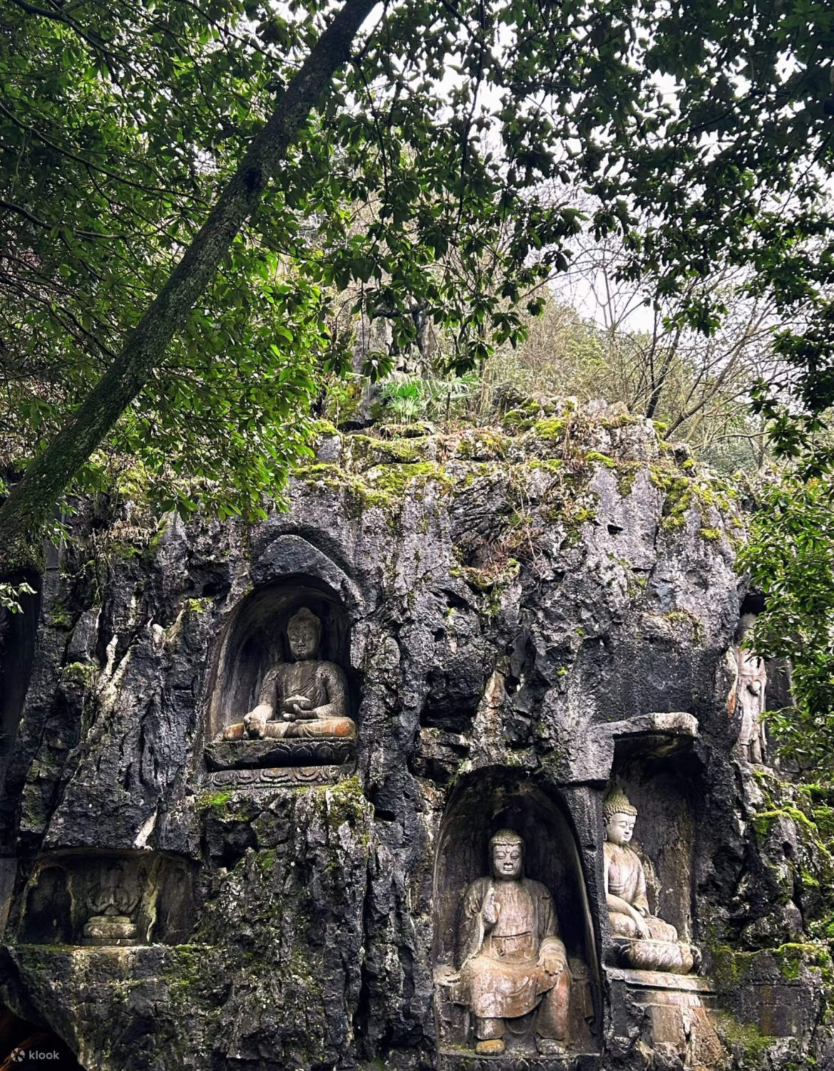 Lingyin Temple Feilai Peak + Aman Ancient Village Stroll + 3H ...