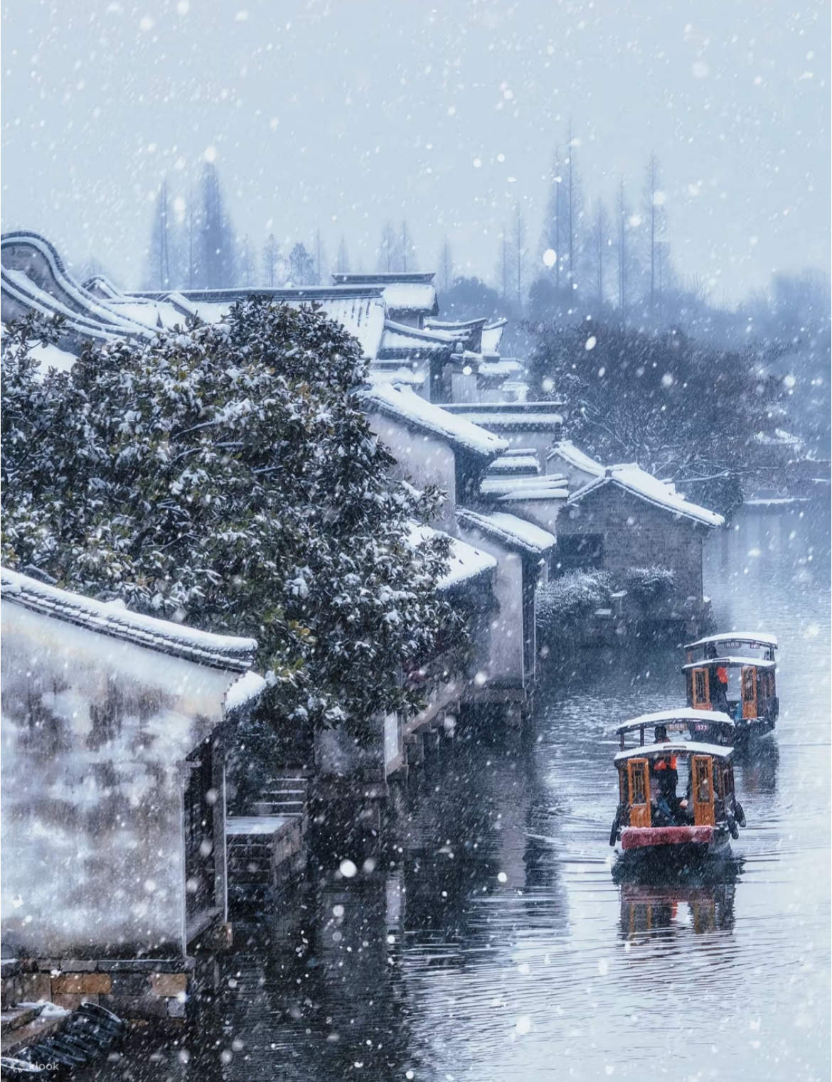 Round-Trip Hangzhou to Wuzhen One-Day Pure Experience (Blue Calico ...