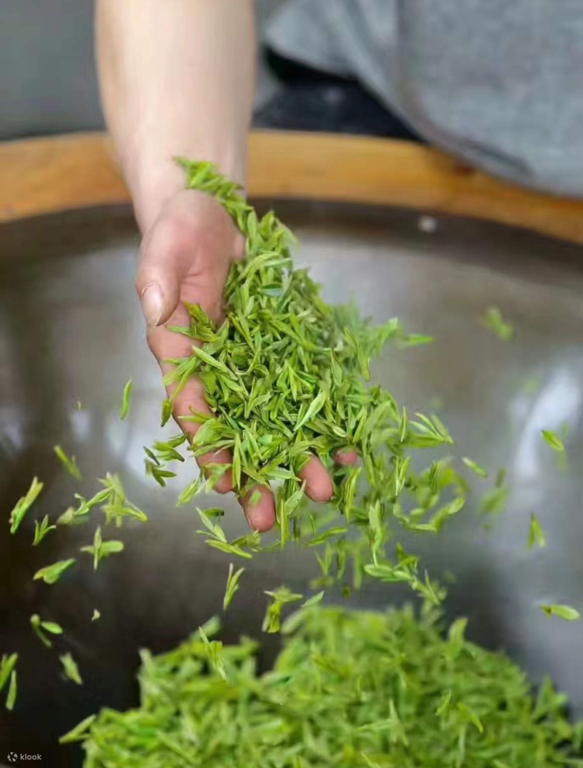 Hangzhou Hermit Tea Life One-Day Tour: Xixi Wetland + Longjing Village ...