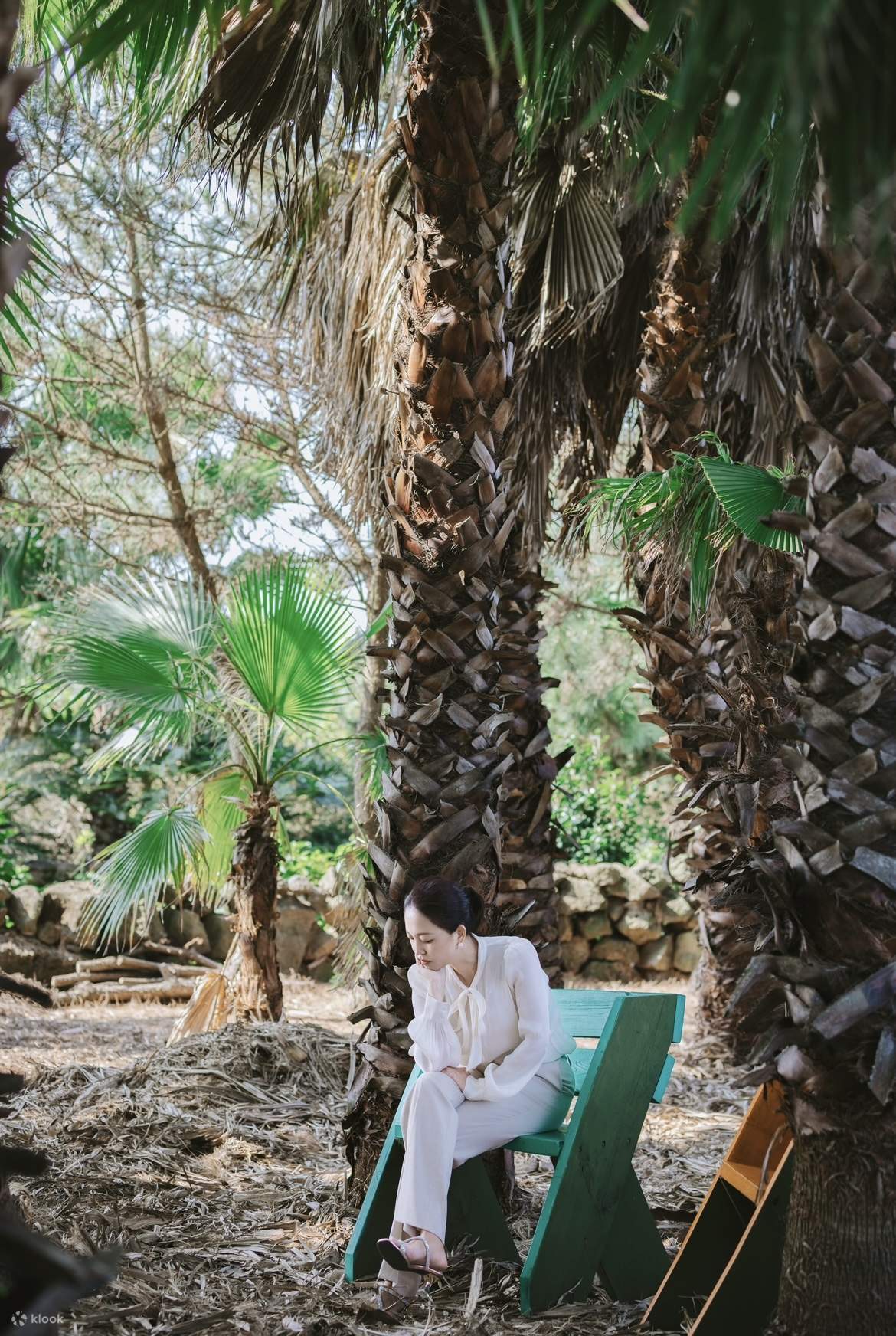 Jeju Udo Island Snapshots Experience - Klook India