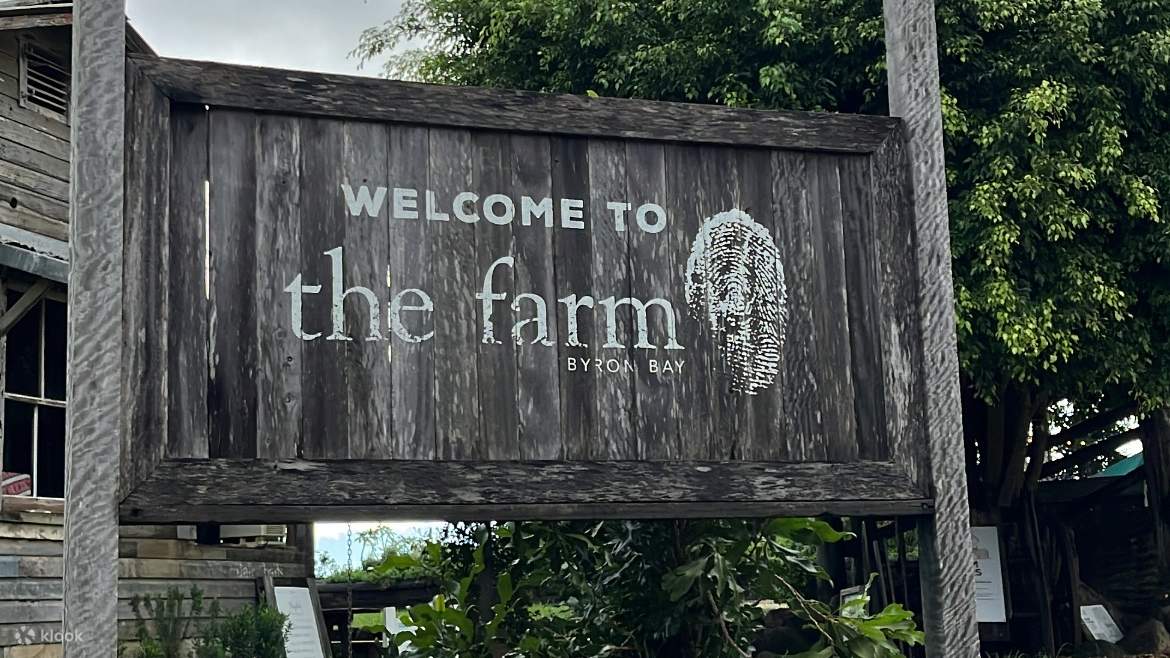 Byron Bay Day Tour: Lighthouse Sunset, The Farm and Hidden Trails ...