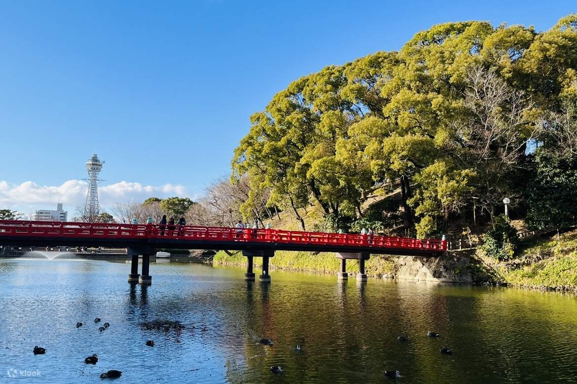 Osaka City, Osaka Castle, Kuromon Market, & Dotonbori One Day Walking ...