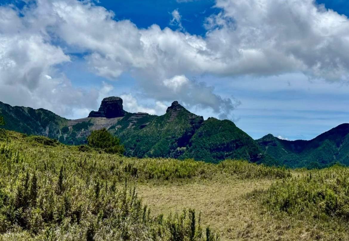 Hiking charter bus transfer: Dauba trailhead (departing from Taipei ...