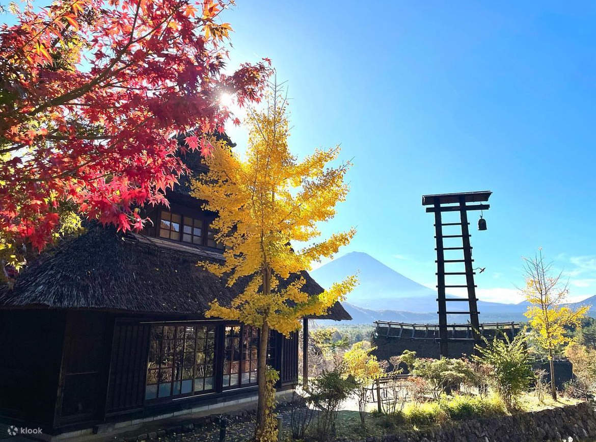 Mount Fuji, Kawakuchiko, and Arakurayama Sengen Park Join In Bus Tour ...