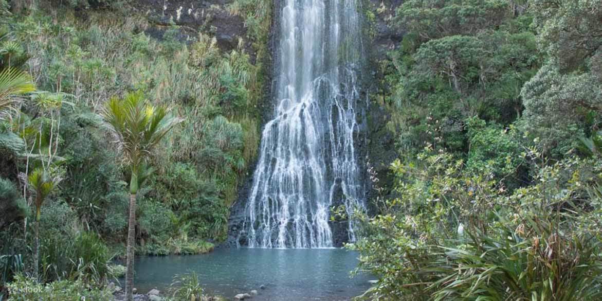 Join a day tour to West Auckland's coast and rainforest! - Klook Australia