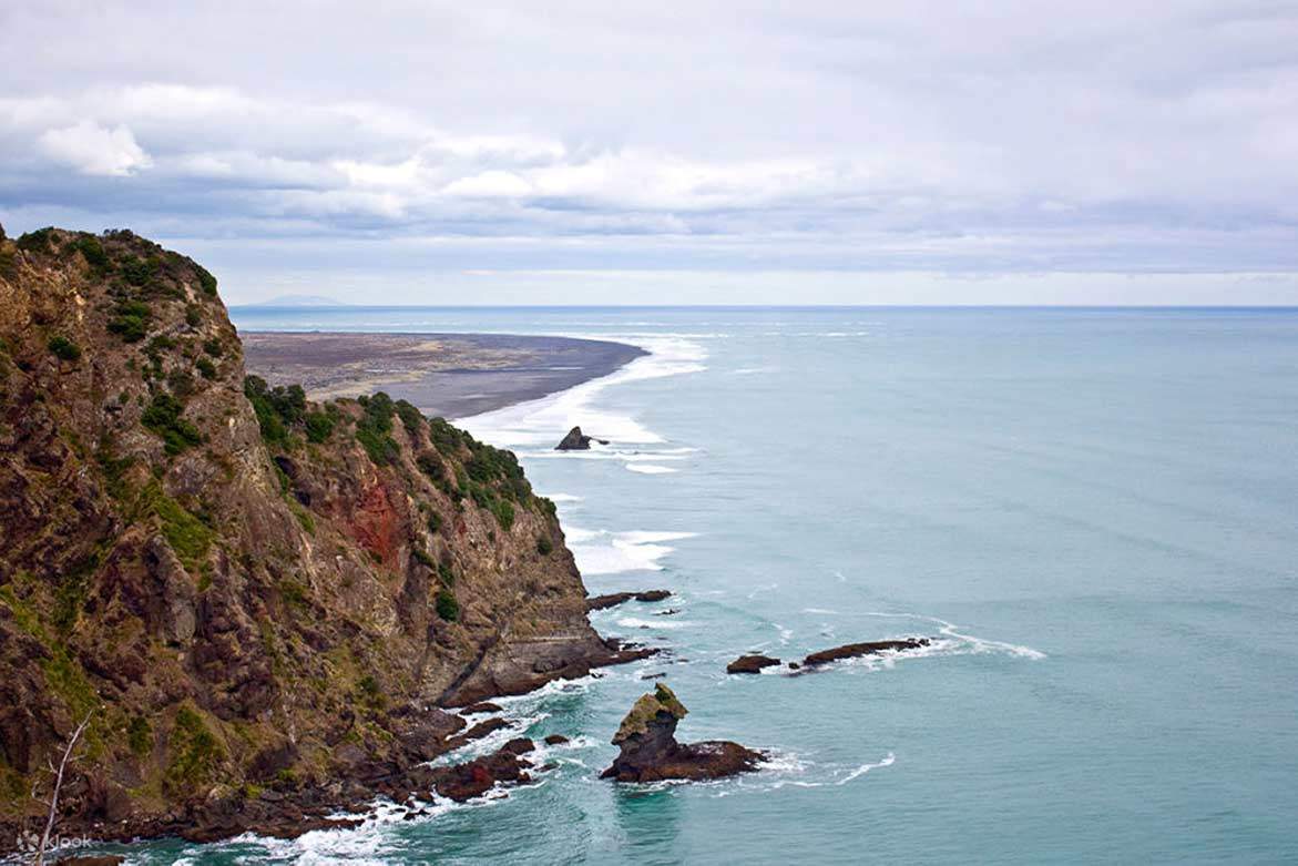Join a day tour to West Auckland's coast and rainforest! - Klook