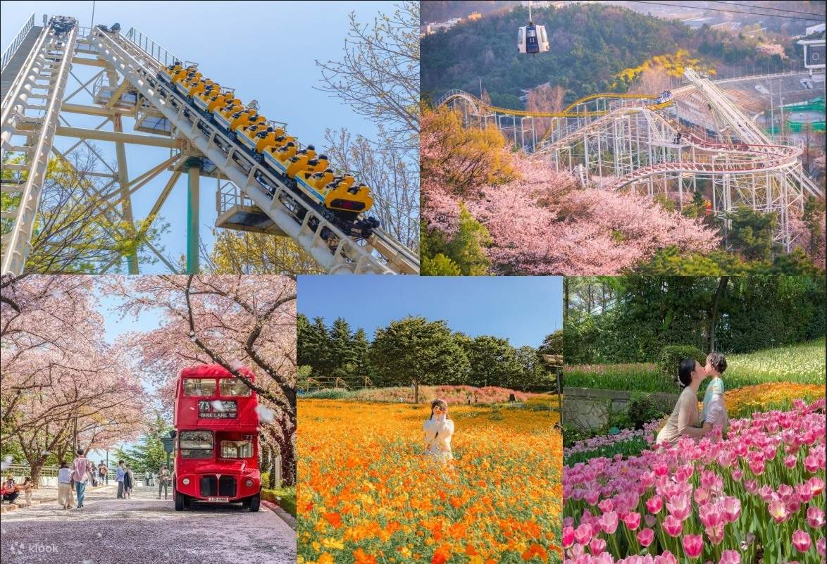 Daegu E-World/Busan Lotte World Shuttle + Ticket from Busan/Daegu ...