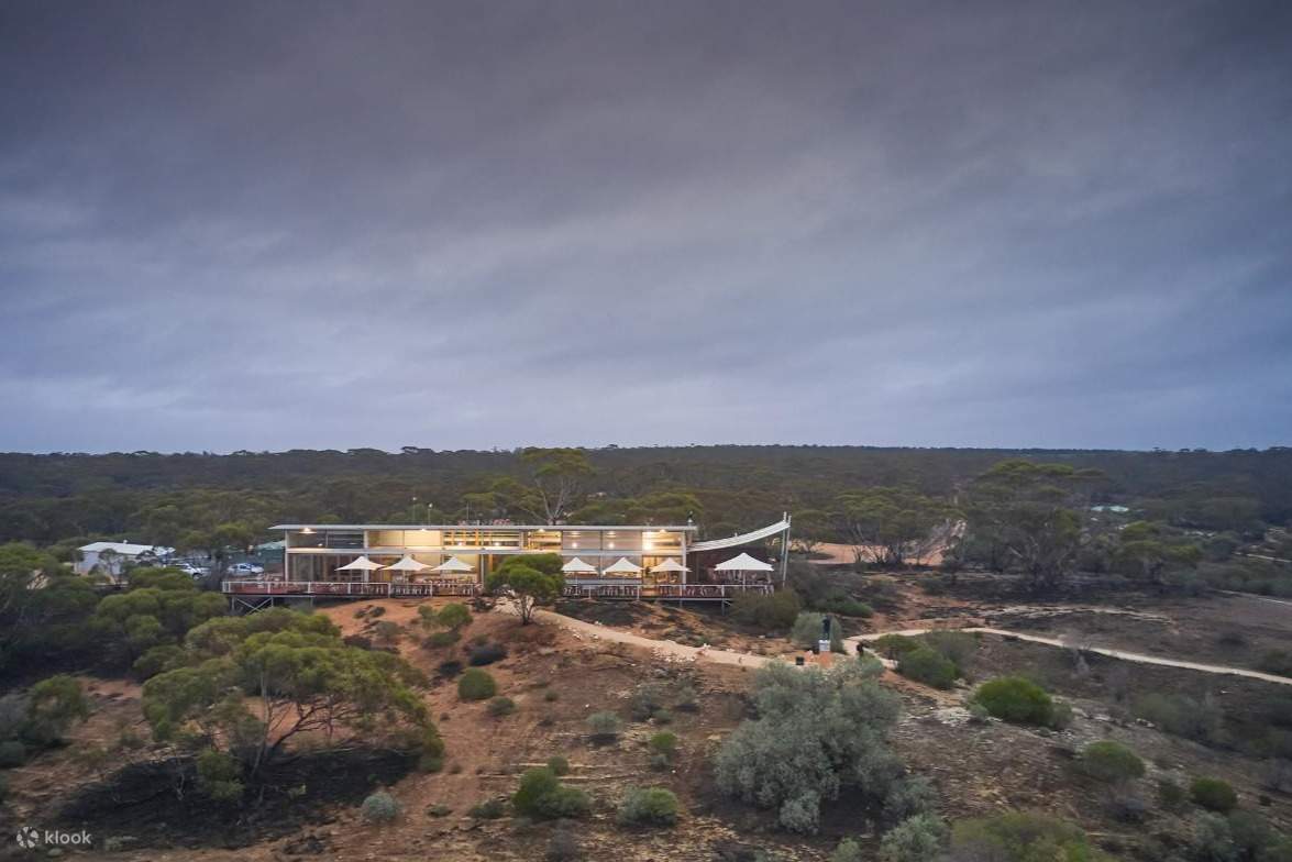 Guided Birdwatching Tour at Banrock Station Winery - Klook United States