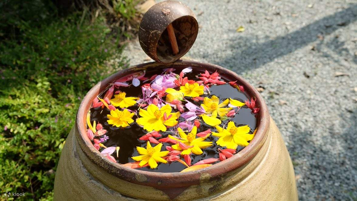 Immersive Wellness Retreat at Alba Wellness Valley in Hue, Vietnam ...