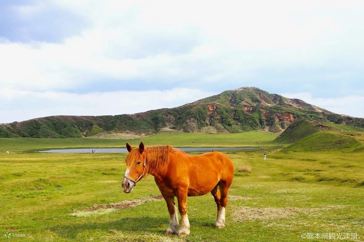 1 Day Tour of Aso and Takachiho (Optional Return via Aso Boy Train ...