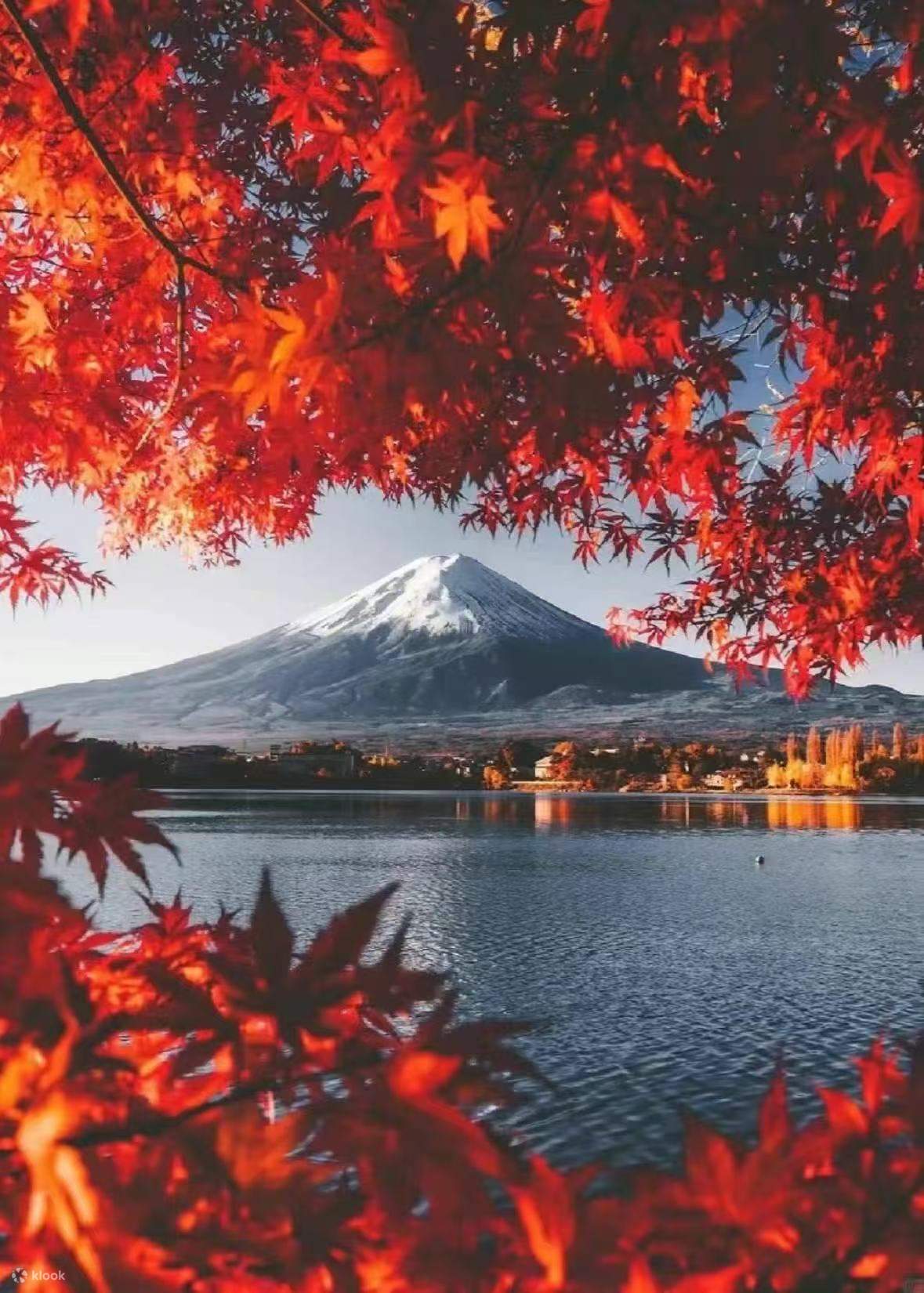 Two-Day Tour, Tokyo Car Rental with Driver - Klook India