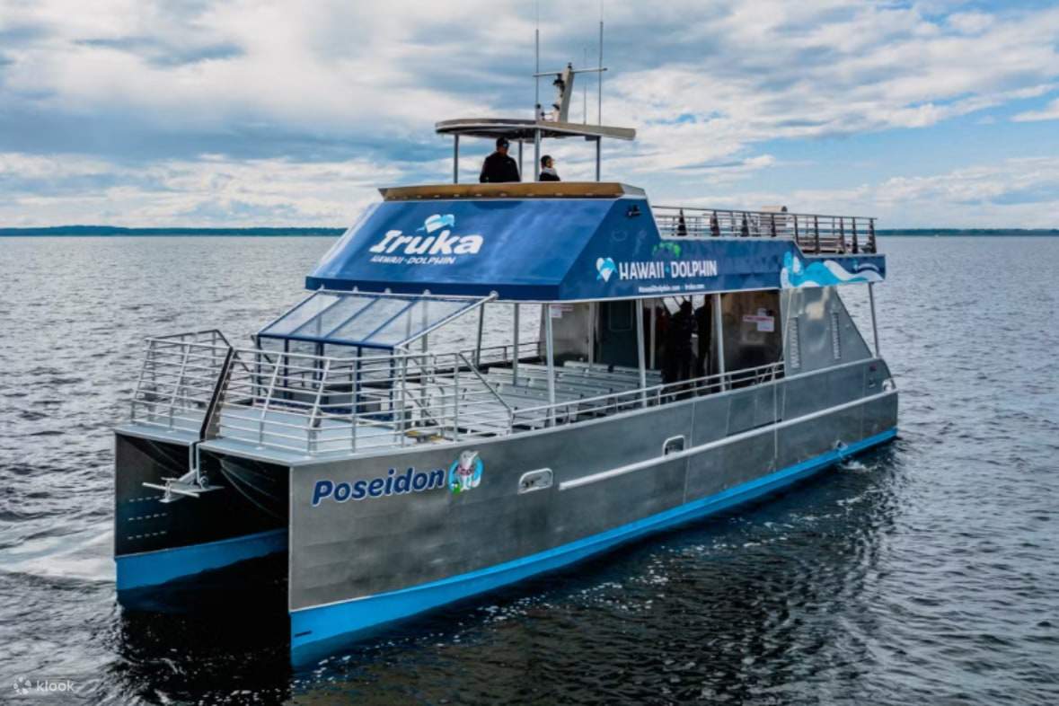 Dolphin Swim and Snorkel With Ocean Activities in Oahu - Klook Canada