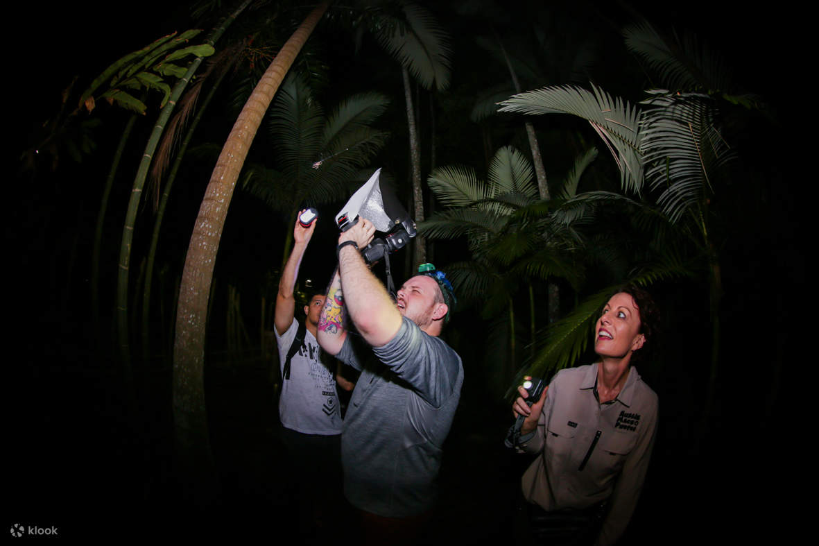 Cairns Night Walk Photography Tour Ticket - Klook
