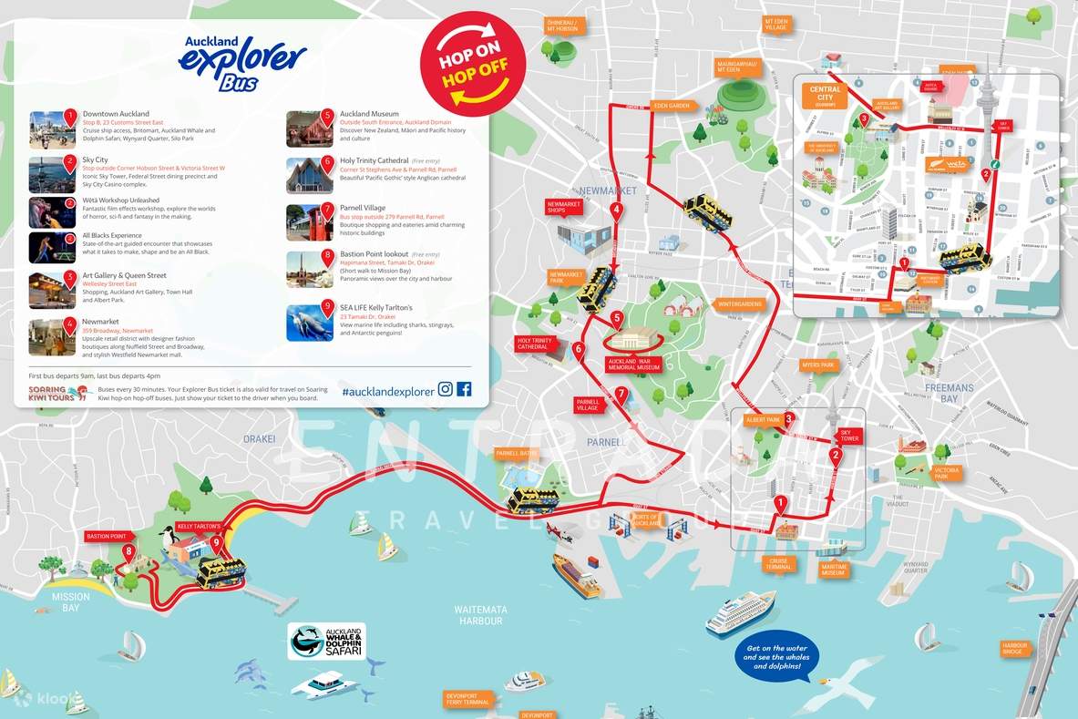 Auckland Explorer Bus Hop On Hop Off Pass (24 Hours/48 Hours) - Klook ...