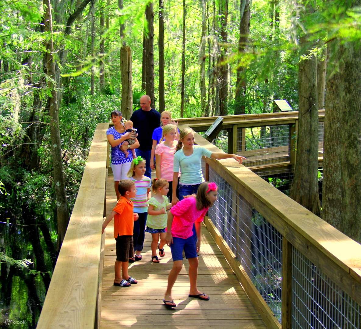 Wild Florida Safari & Gator Park Admission - Klook Indonesia