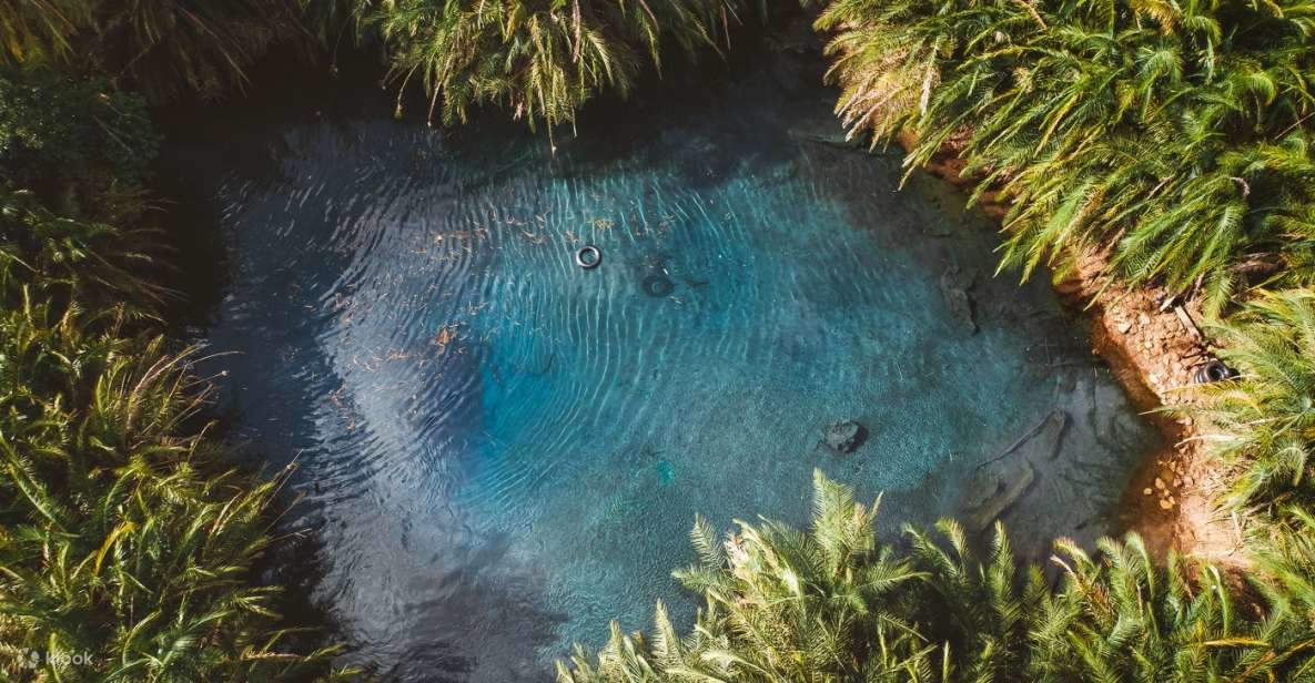 Private Chemka/Kikuletwa Hotsprings with Lunch & Drinks - Experience ...