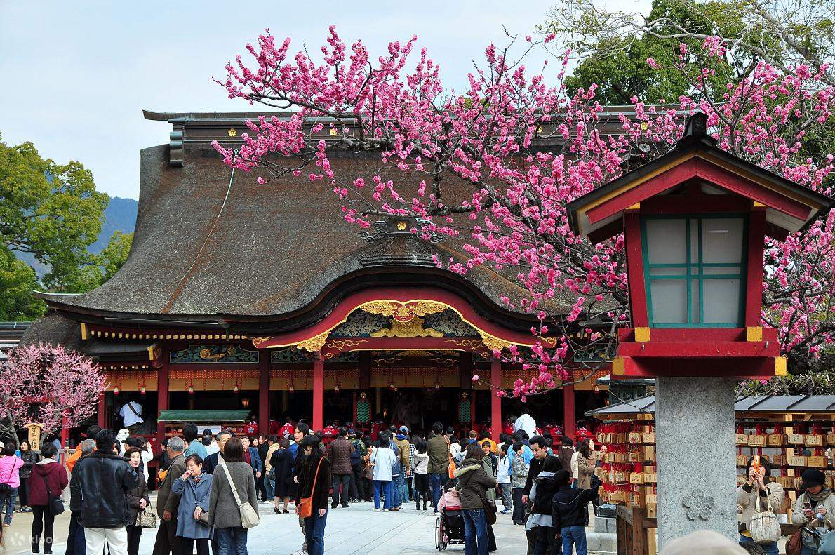 Dazaifu Tenmangu Shrine and Kyushu National Museum a Half day Tour by ...