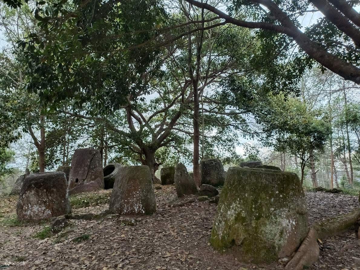 Plain of jars tour with local guide - Klook