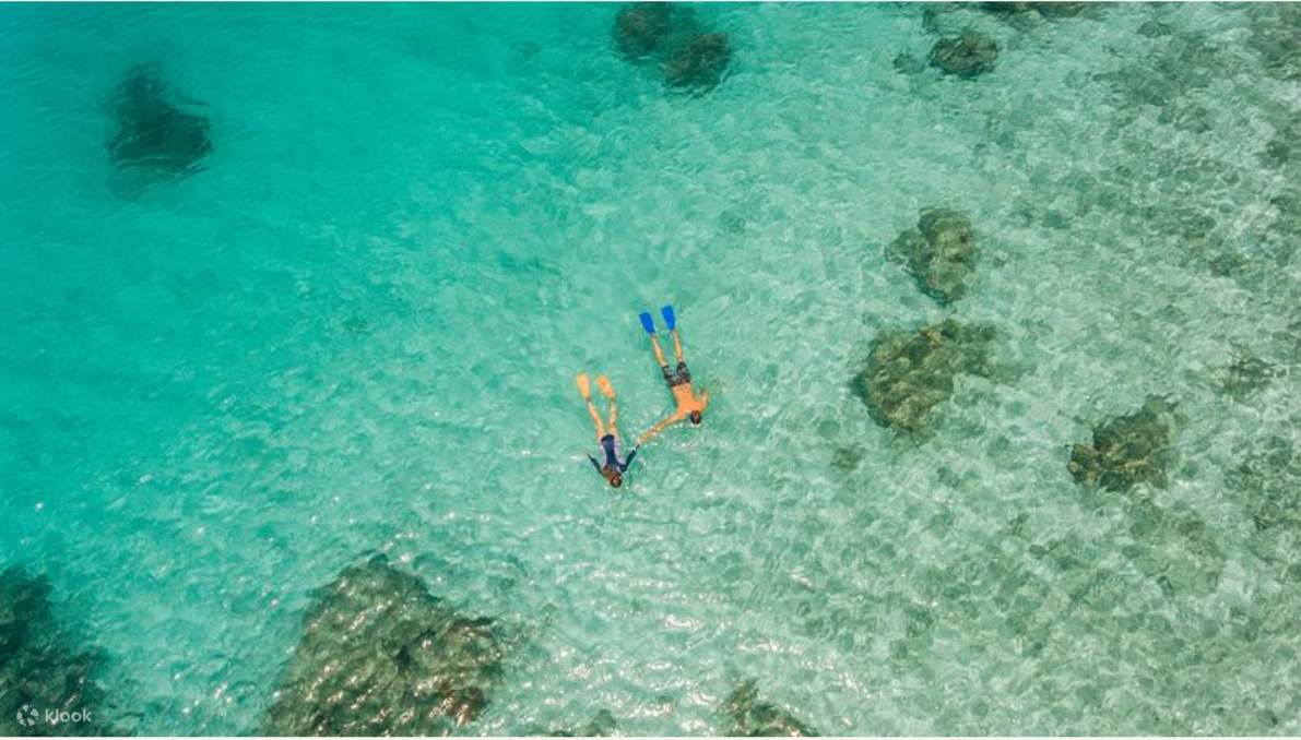 Ride and Slide Morning Tour in Fiji - Klook Hong Kong