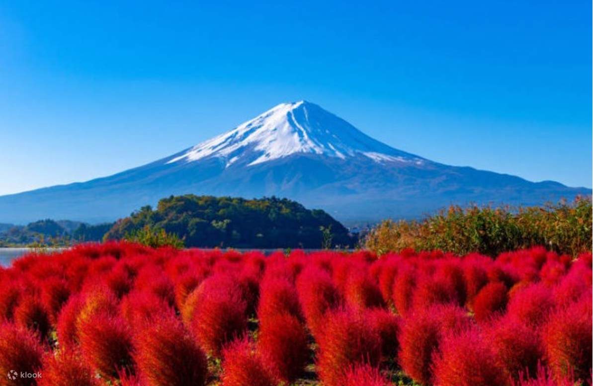 Mount Fuji Internet celebrity attractions: Kawaguchiko Matcha ...