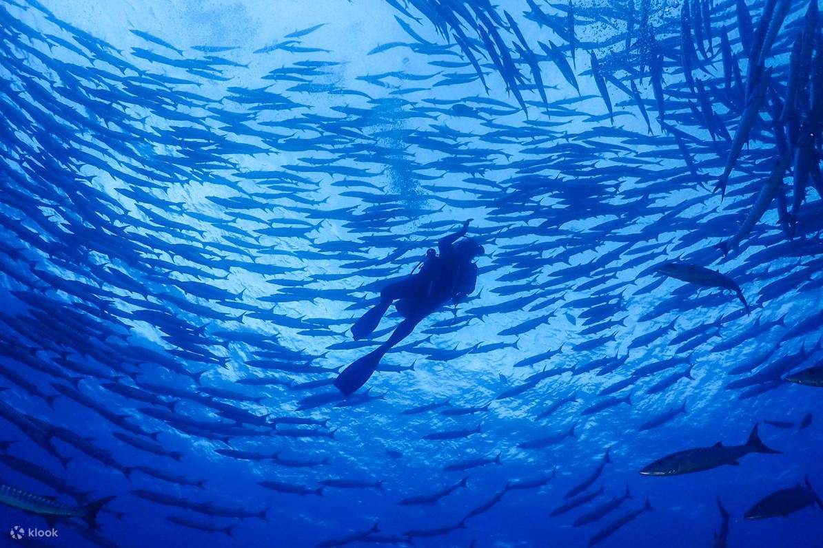 3D2N or 5D4N Stay at Borneo Dive Mabul Resort Full Board - Klook United ...