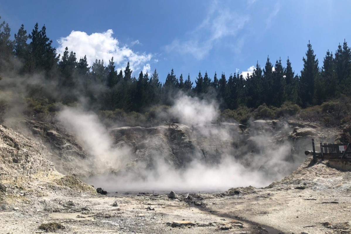 Hell's Gate Mud Spa in Rotorua - Klook United States