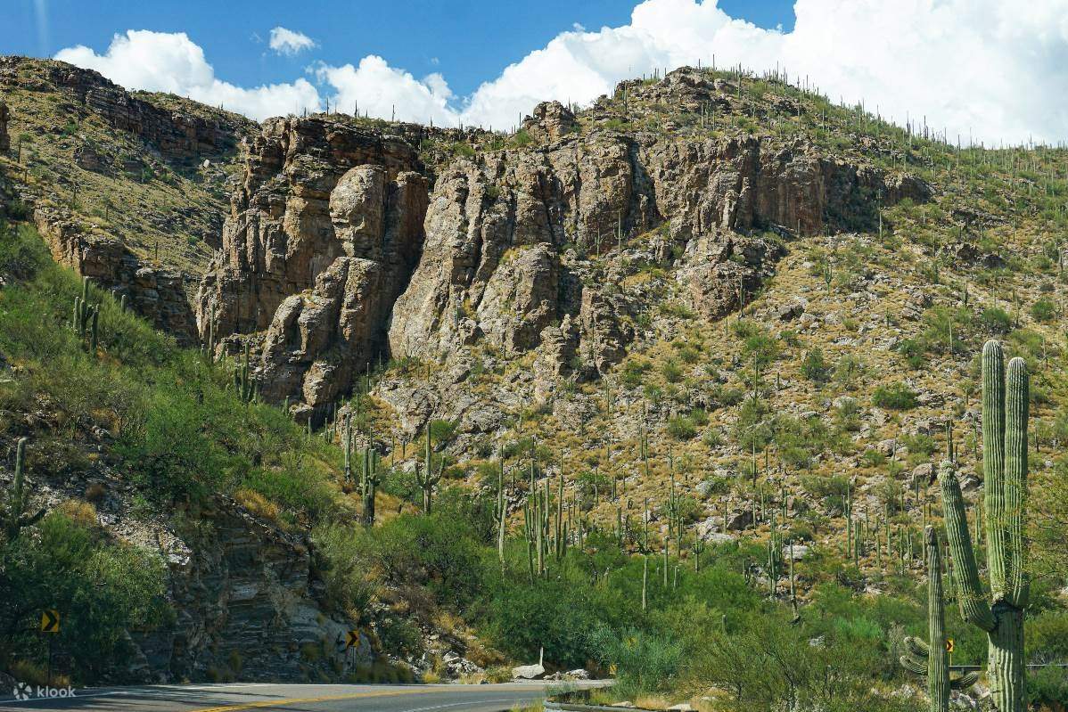 Mount Lemmon Driving Tour with Audio Guide - Klook India
