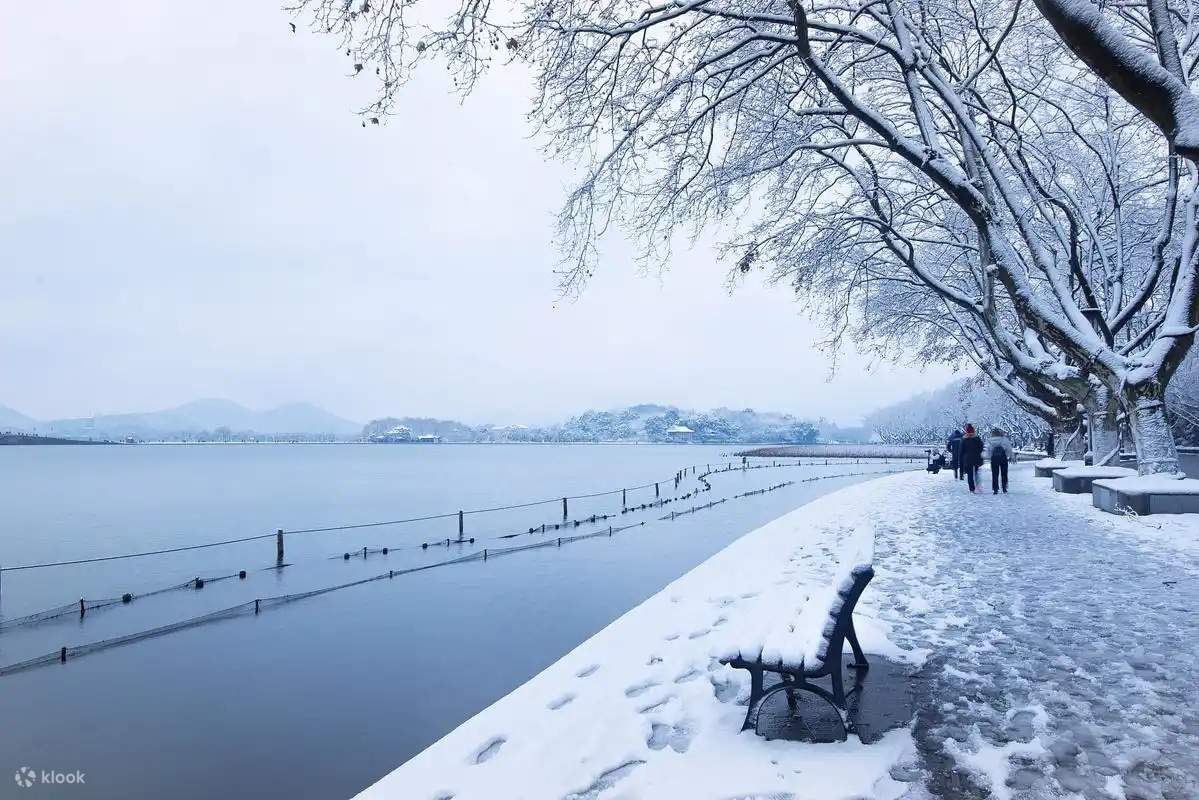 Hangzhou West Lake Leifeng Pagoda Broken Bridge Snow Private Guide Half ...
