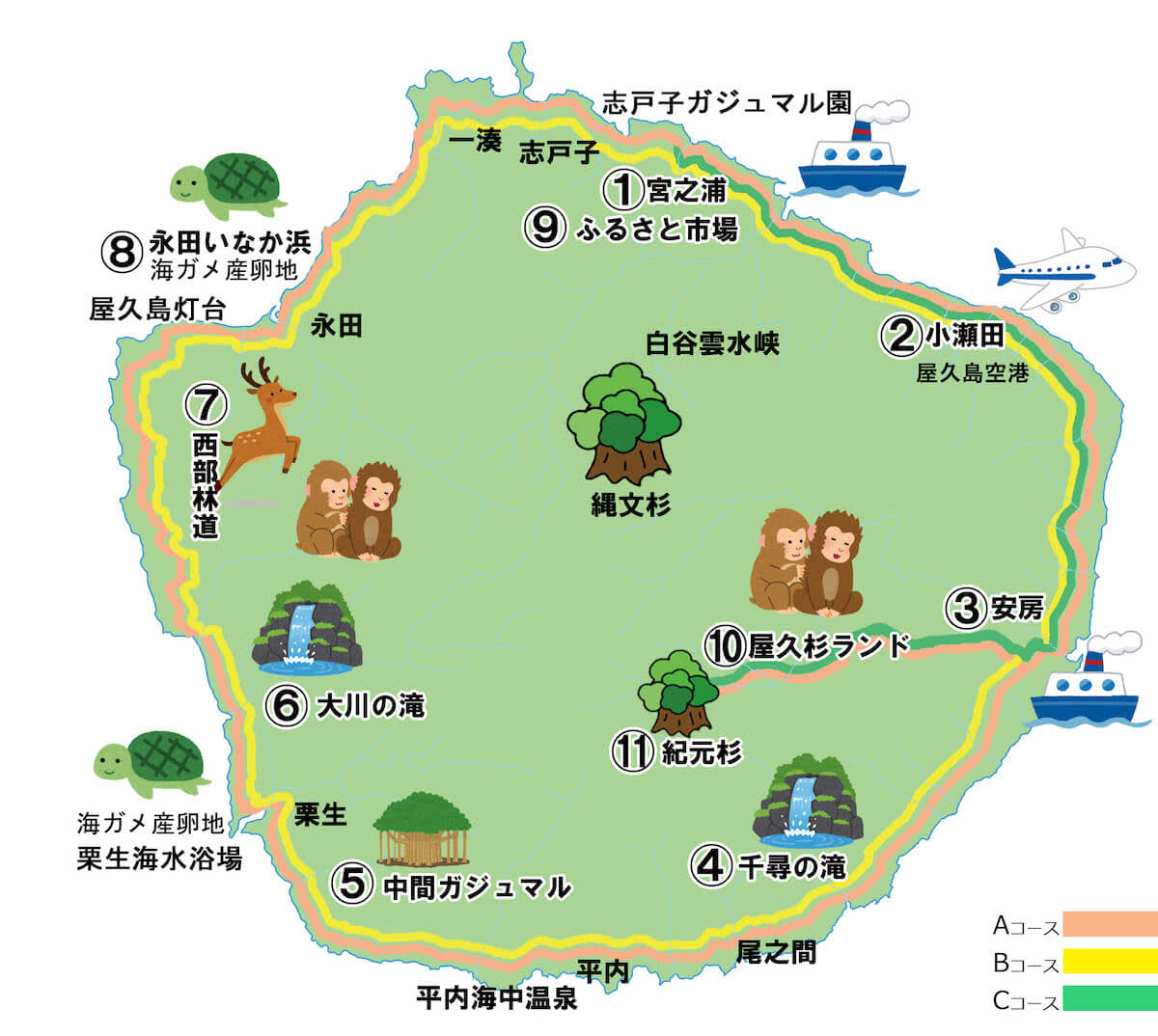 YAKUZARU Sightseeing Bus: Yakushima Island Full Day Tour - Klook