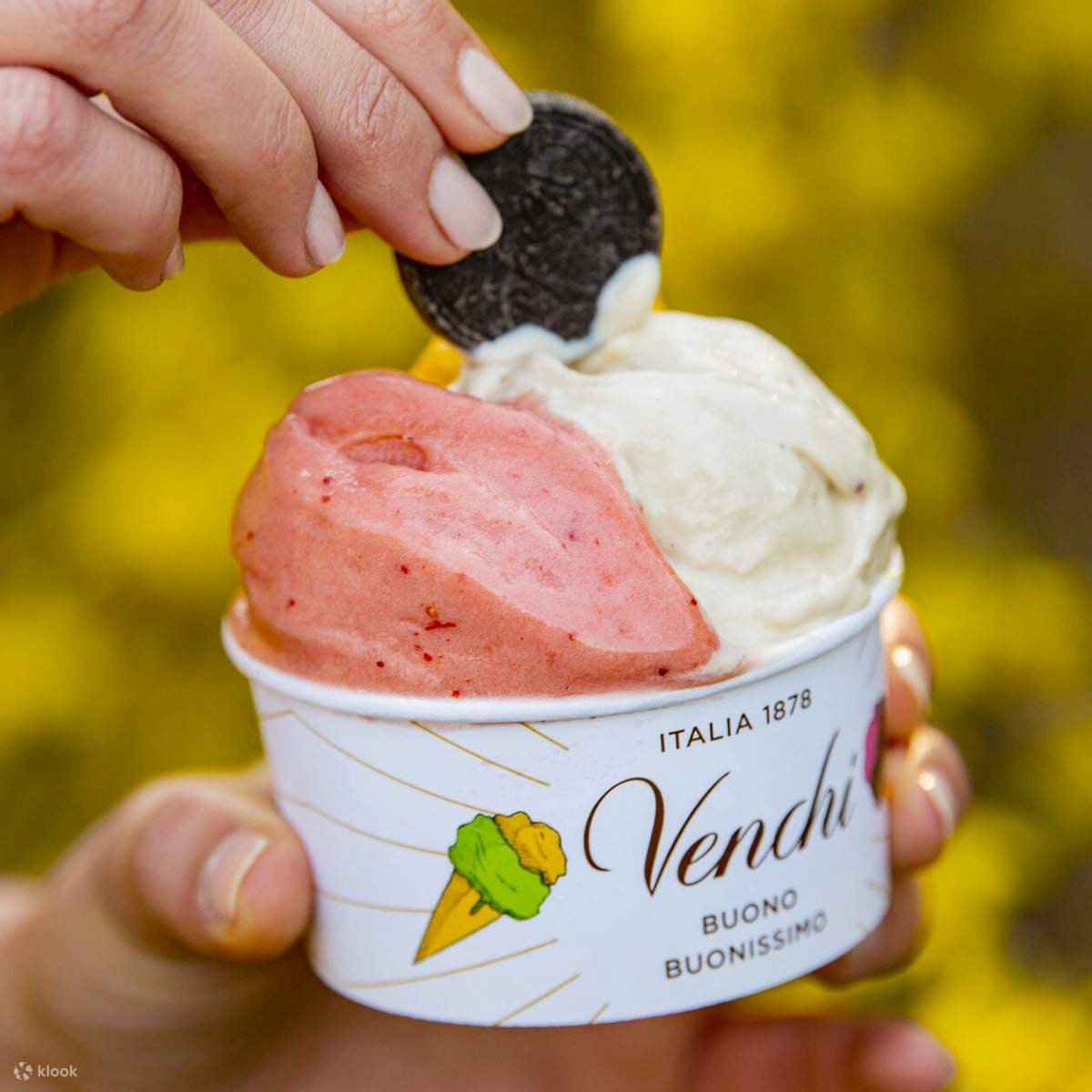 Venchi | Mini Size Gelato | Fine Italian Chocolate and Gelato | Multi ...