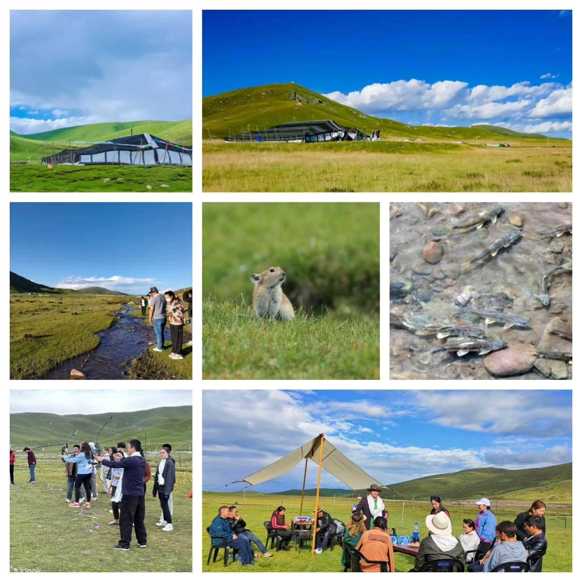 5-Day High-End Private Tour of Qinghai & Gansu (Foreign Guests Welcome ...