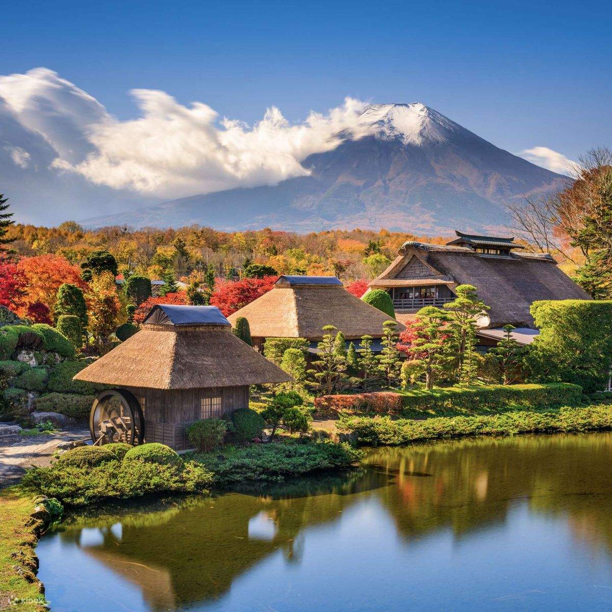 Popular Mt. Fuji amphibious bus day tour｜KABA BUS/Swan Lake Cruise ...