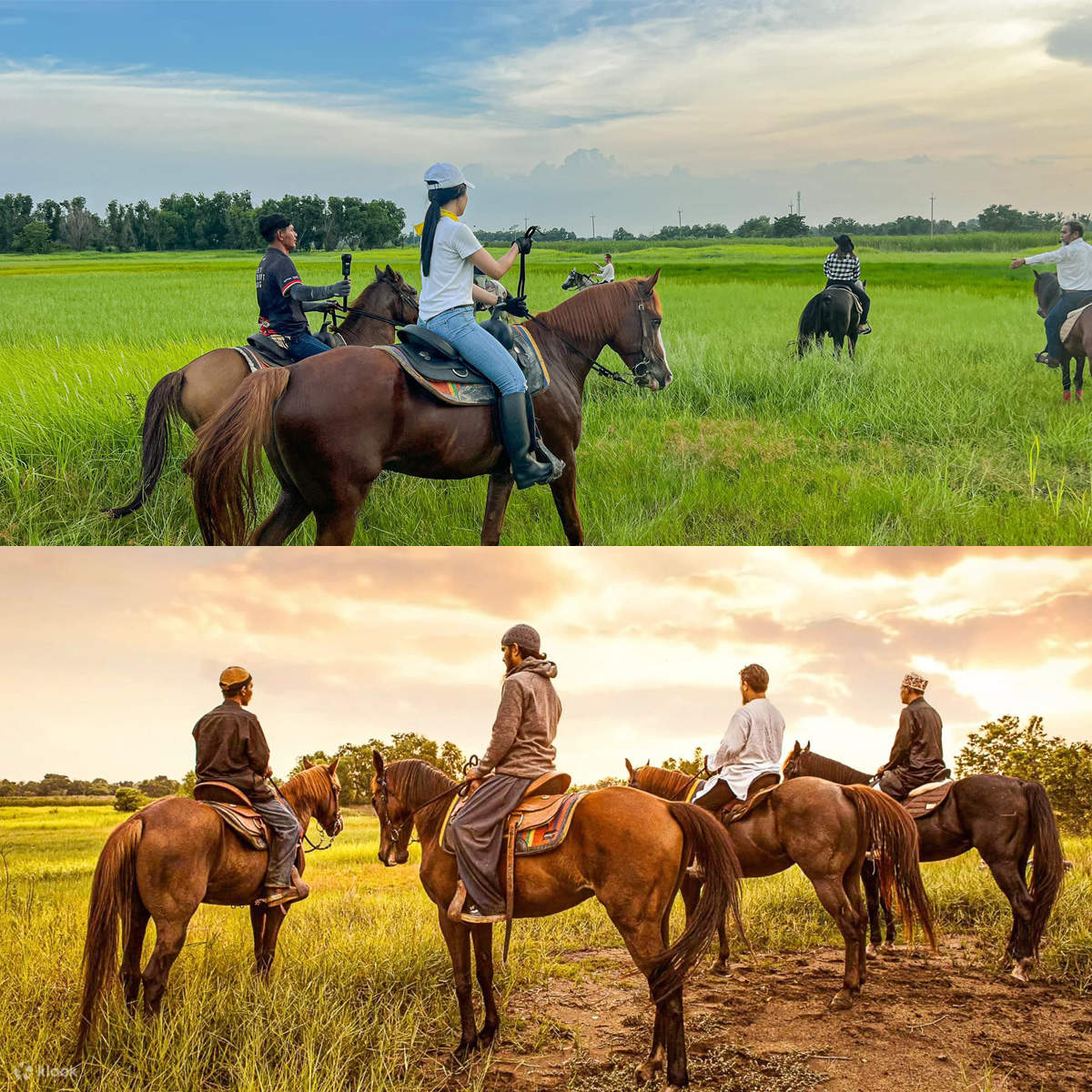 Pengalaman Berkuda di Bangkok - Klook Indonesia