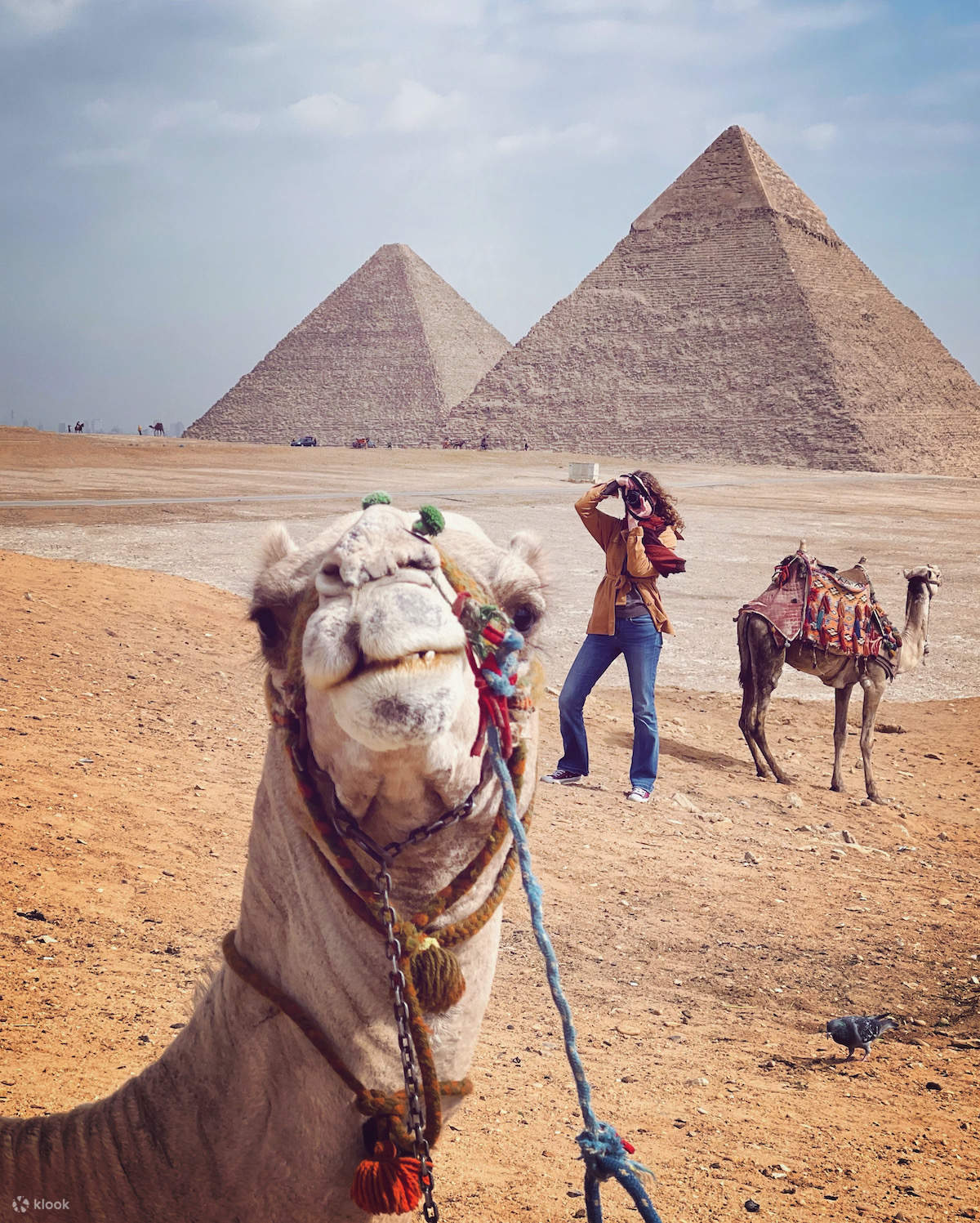 Private Day Tour to Cairo from Sharm by Flight - Klook United Kingdom