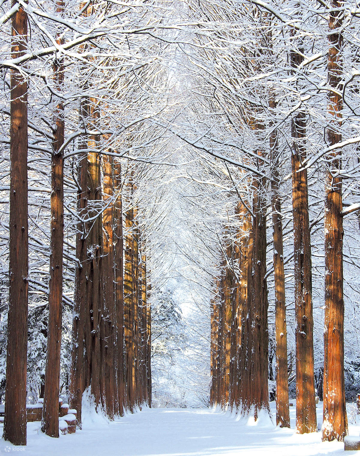Eobi Ice Valley & Nami & Garden Light Festival & Alpaca & Railbike ...