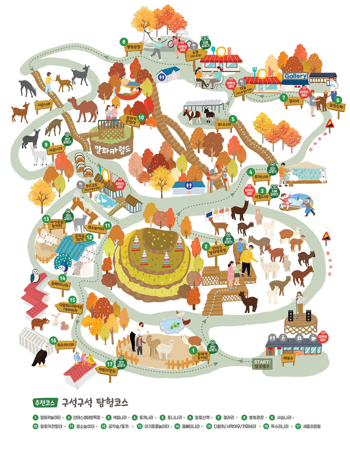 Alpaca World and Hongcheon Gingko Forest Day Tour - Klook