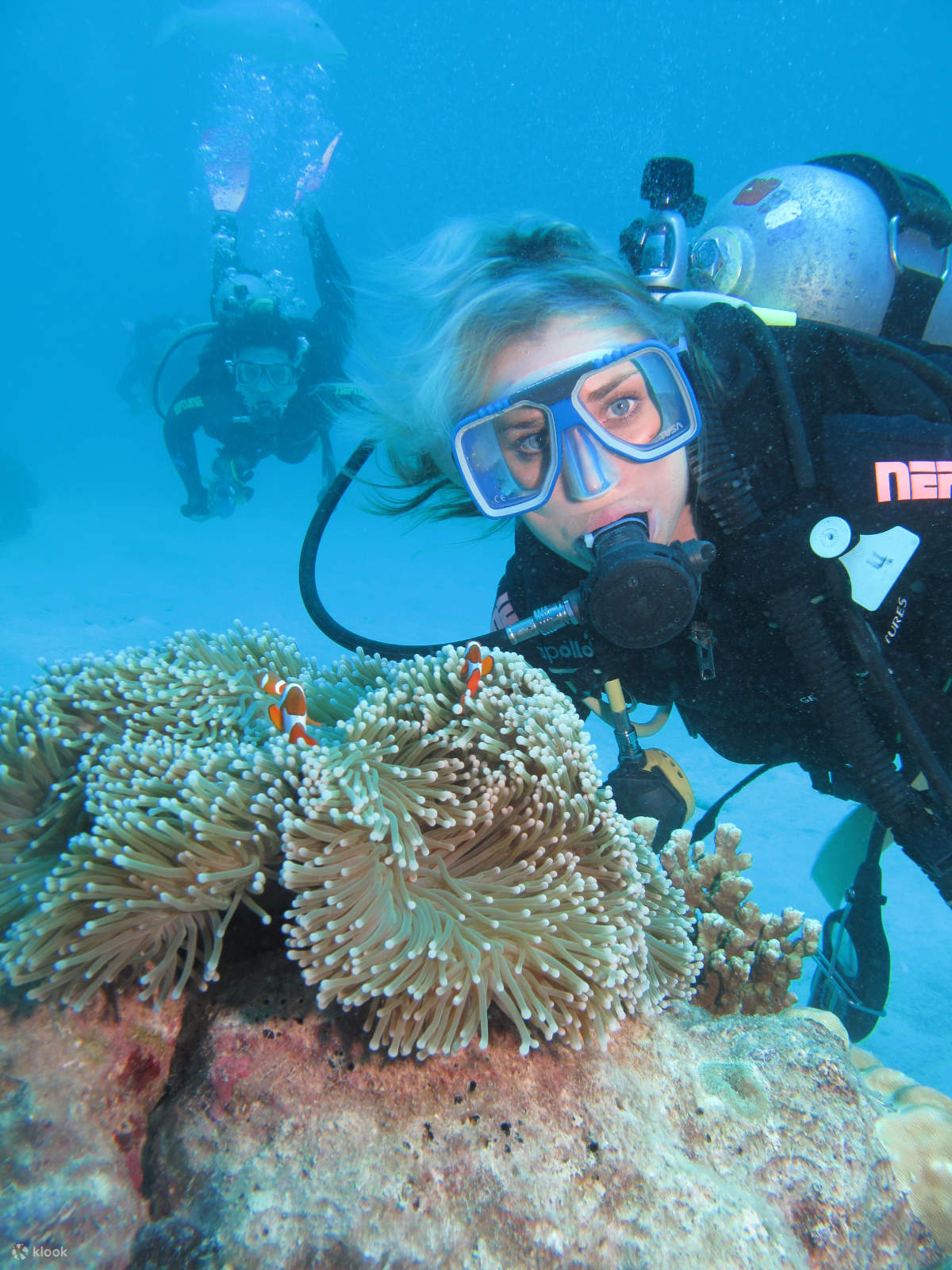 Great Barrier Reef Adventure from Cairns - Klook Singapore