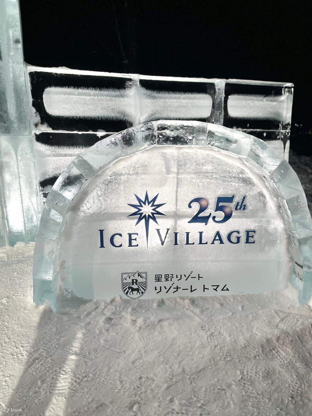 Lake Shikotsu Ice Falls Festival & Hoshino Tomamu Ice Village Day Trip ...